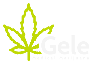 Appointment – Gele